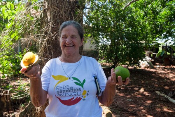 Cientistas identificam maior vitória-régia do mundo – Unebrasil Cientistas identificam maior vitória-régia do mundo – Unebrasil